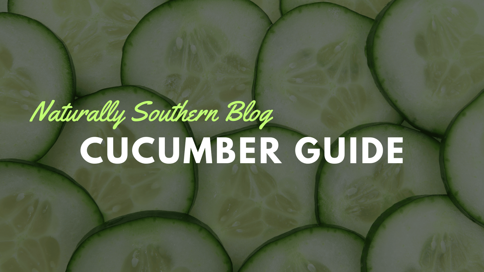 Finding the Perfect Cucumber for Your Gardening Needs – Southern Seeds