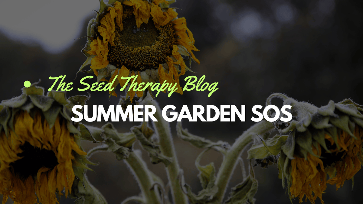 Summer Garden SOS: Heat Stress, Watering, Shade, and Survival Tips ...