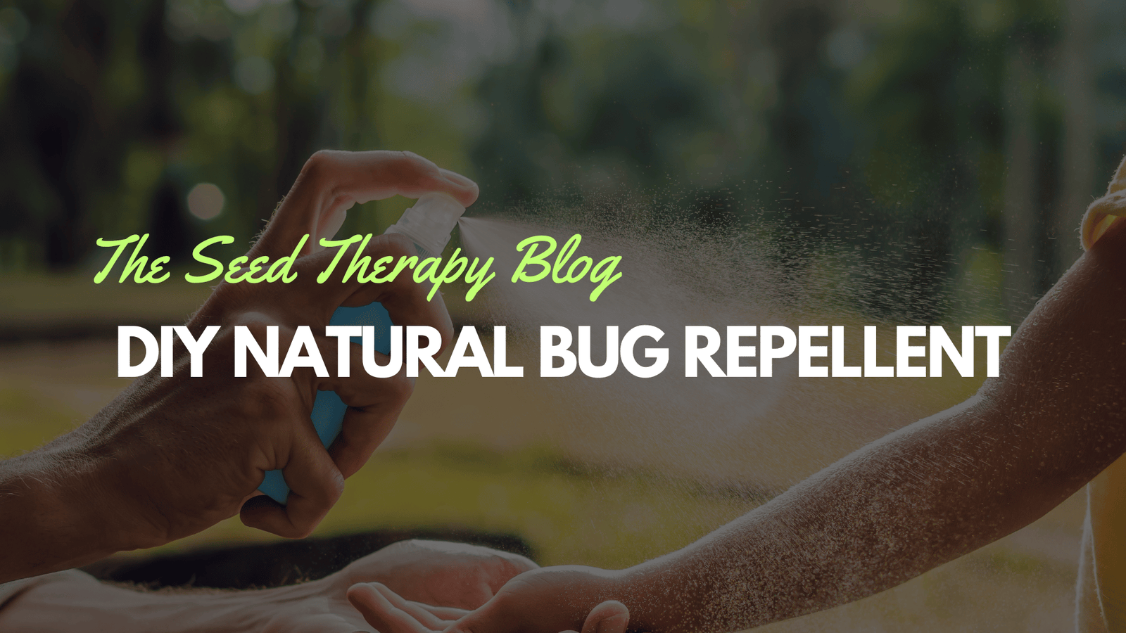 Summer's Secret Weapon: Homemade Lemon Balm Bug Spray – Southern Seeds