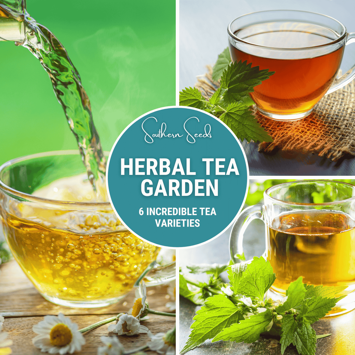 Herbal Tea Seed Collection - 6 Varieties - Seed Therapy – Southern Seeds