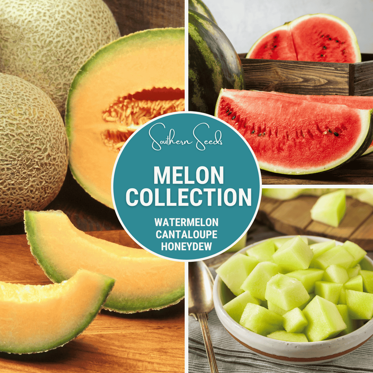 Melon Seed Collection (Watermelon • Cantaloupe • Honeydew) - Seed ...
