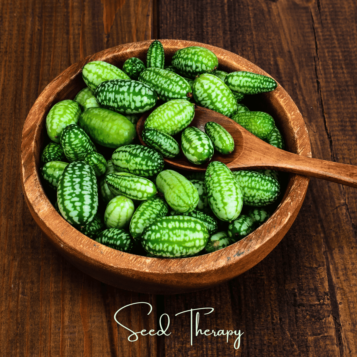 Mouse Melon (Melothria scabra) - 10 Seeds - Seed Therapy – Southern Seeds