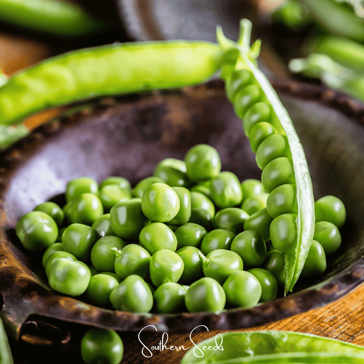 Peas, Early Frosty (Pisum sativum) - 25 Seeds - Seed Therapy – Southern ...