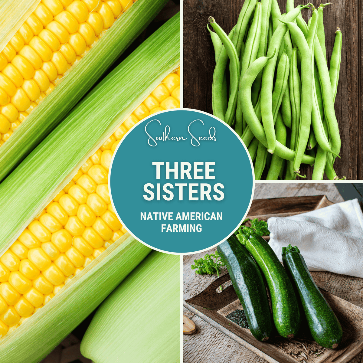Three Sisters Seed Collection - Native American Farming - Corn, Bean, Squash - Seed Therapy ...