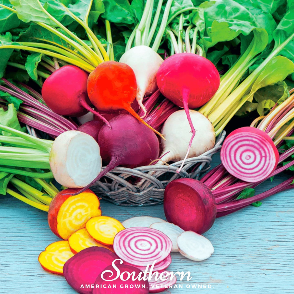 Beet, Gourmet Blend (Beta vulgaris) - 50 Seeds - Seed Therapy ...