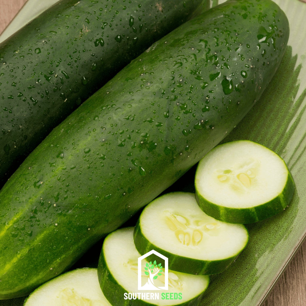 Cucumber Seeds & More – Heirloom Varieties | Seed Therapy – Southern Seeds