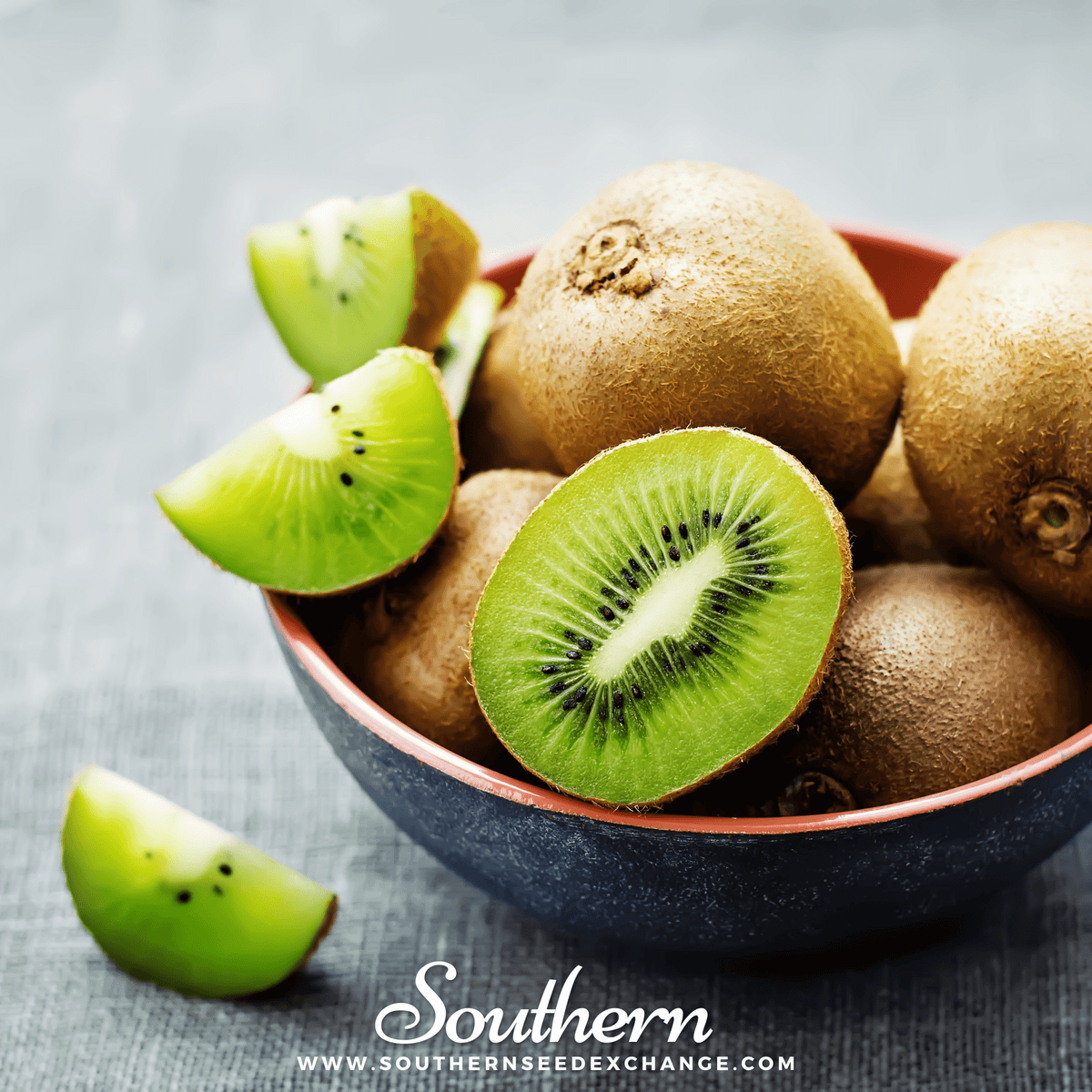 Kiwi Fruit (Actinidia chinensis) - 100 Seeds - Seed Therapy – Southern ...