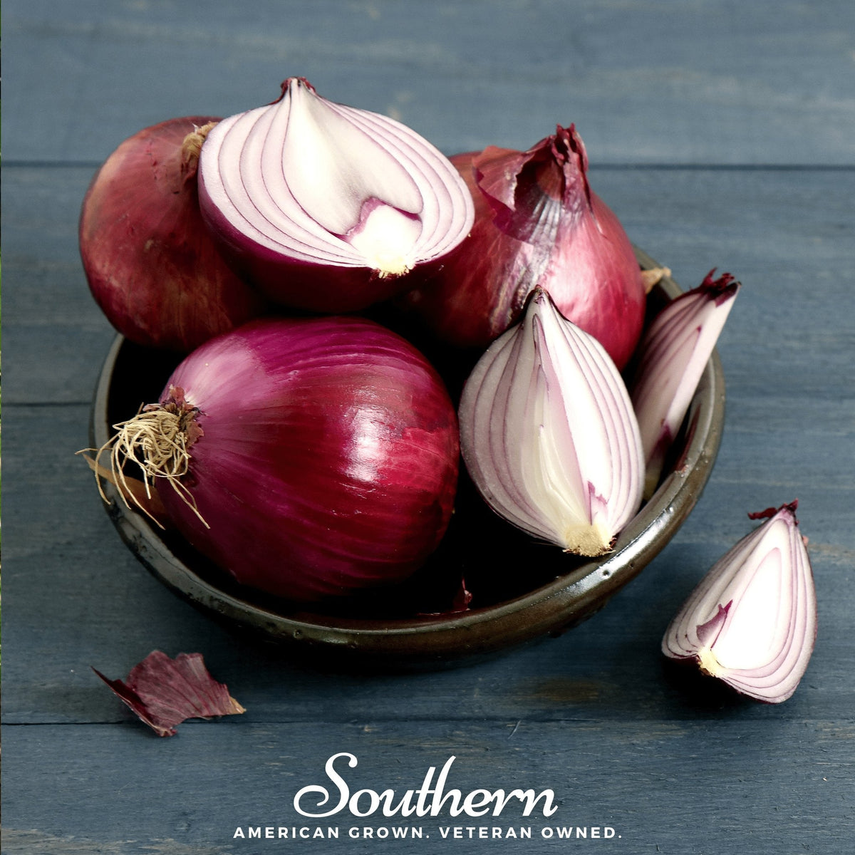 Onion, Red Burgundy (Allium cepa) - 200 Seeds - Seed Therapy – Southern ...