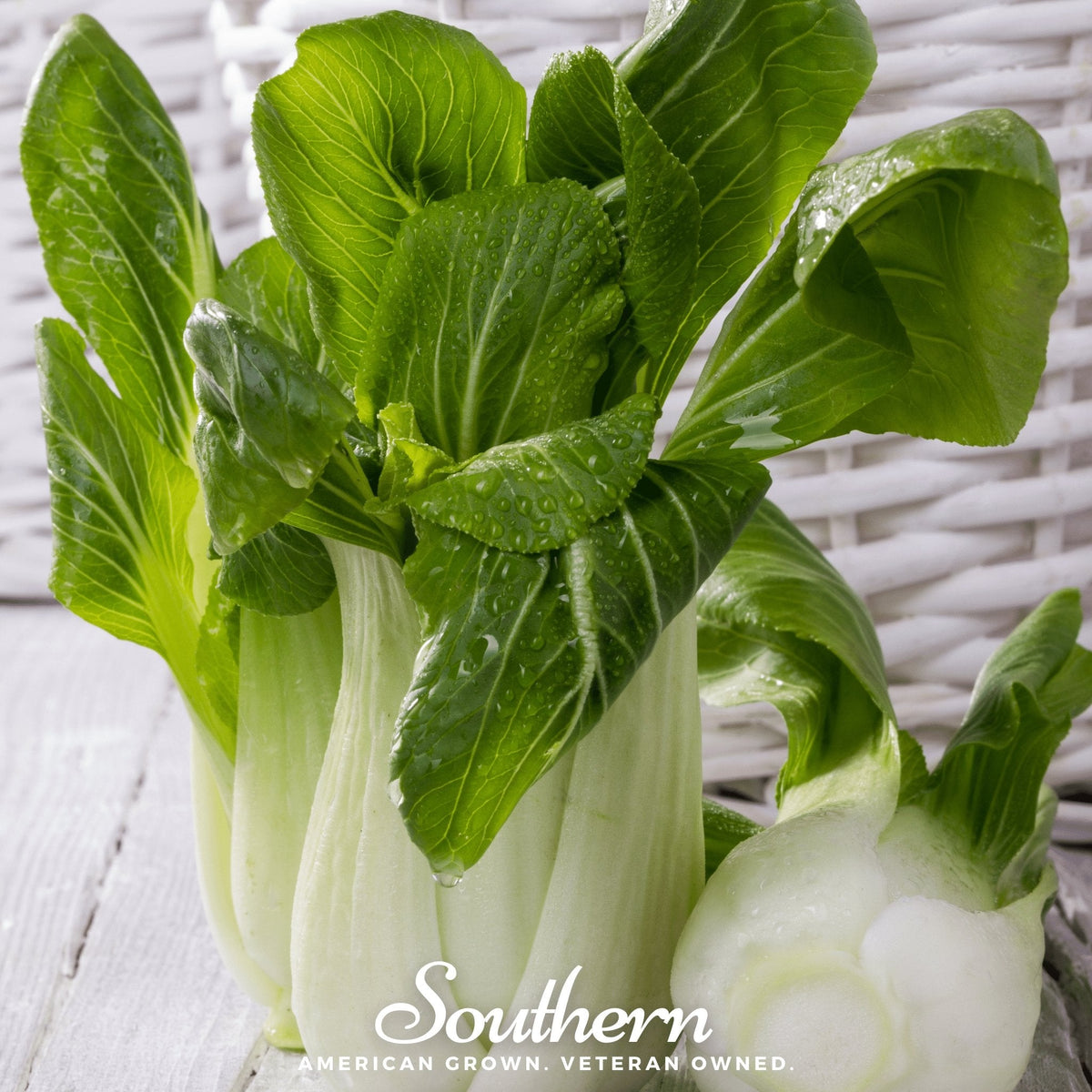 Pak Choi, Canton - Bok Choy (Brassica rapa) - 200 Seeds - Seed Therapy ...