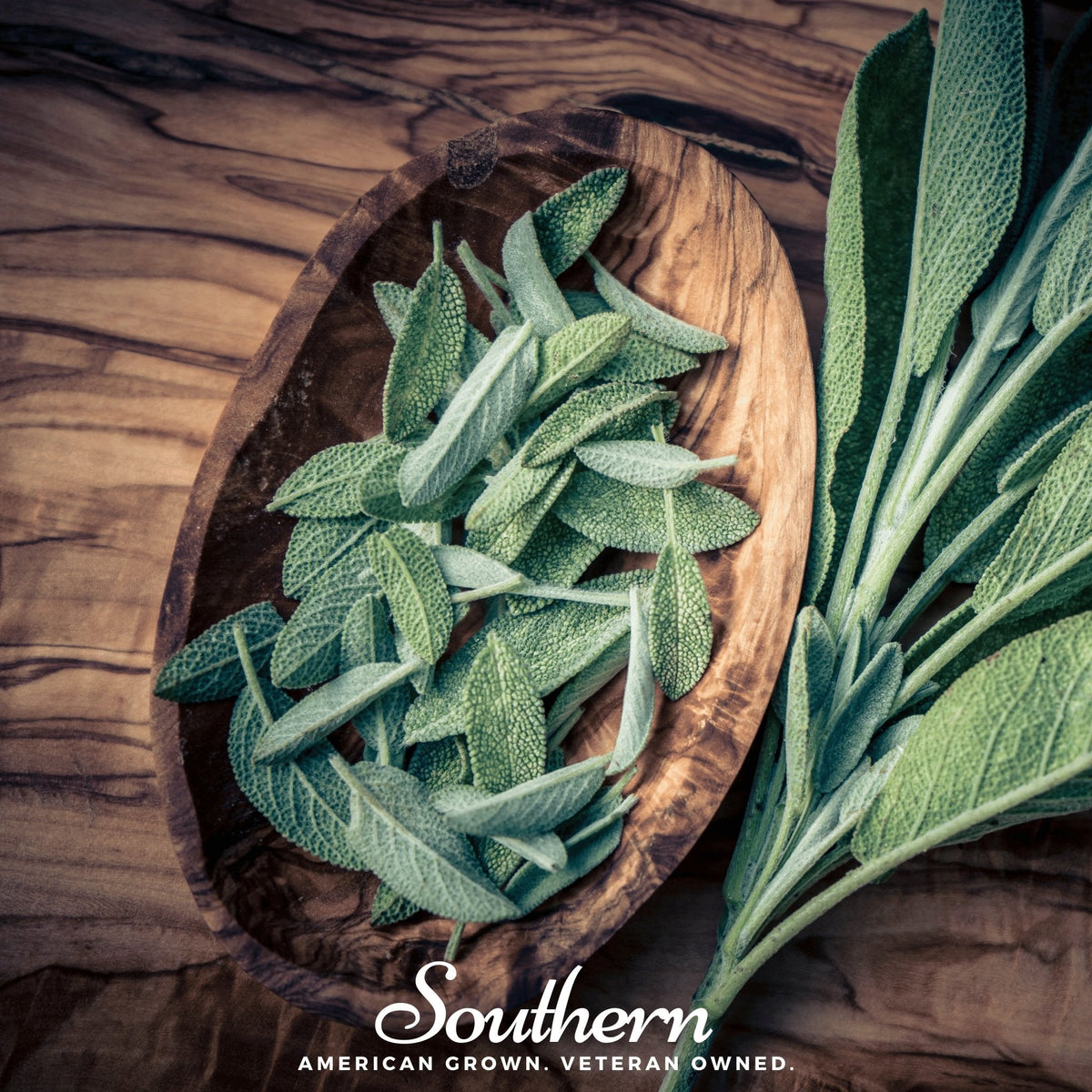 Sage, Extrakta (Sage officinalis) 30 Seeds - Seed Therapy – Southern Seeds