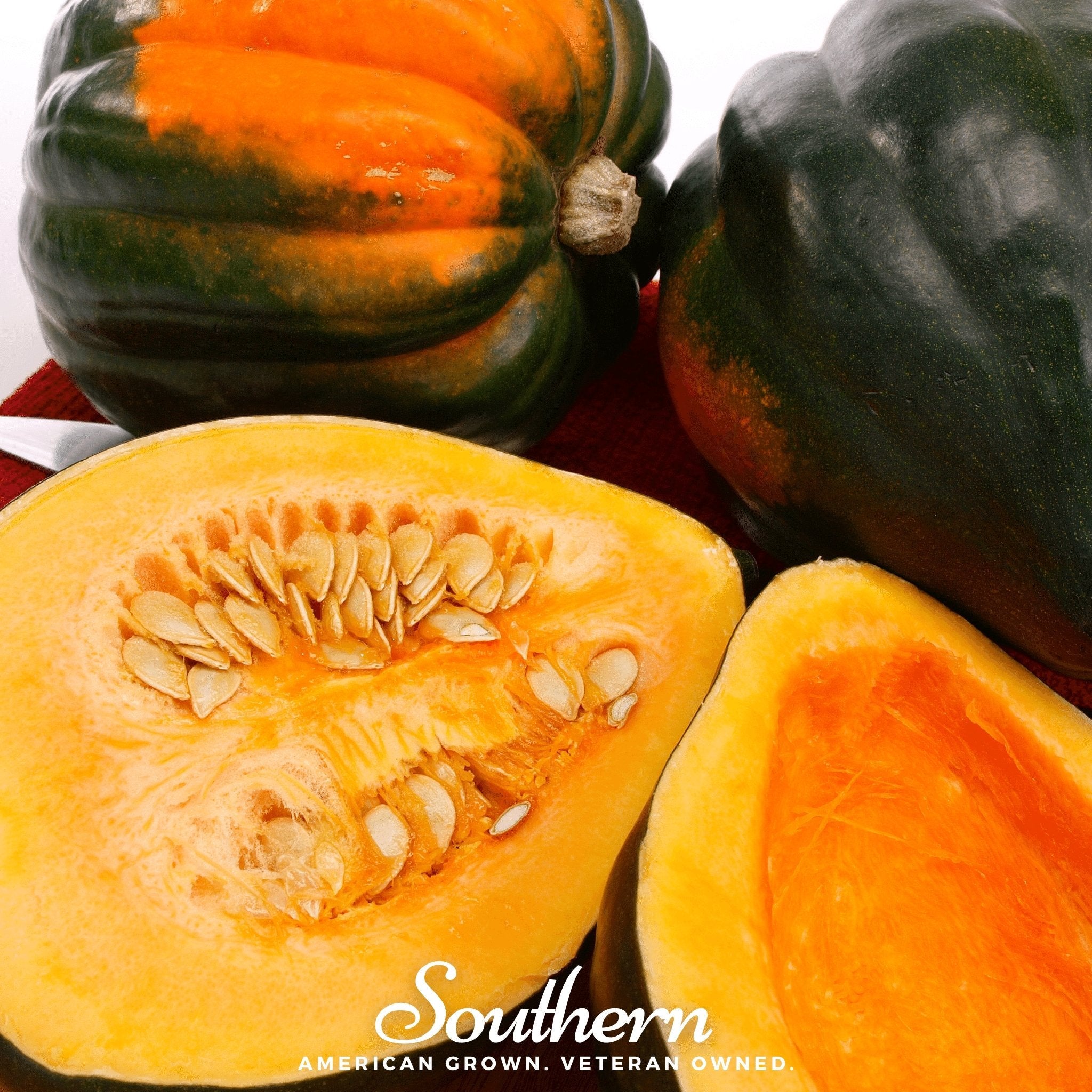 Squash, Table Queen Acorn - Winter (Cucurbita pepo) - 25 Seeds - Seed ...