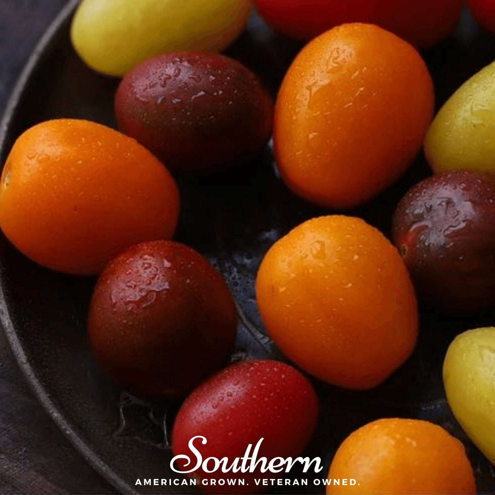 Tomato Seeds & More – Heirloom Varieties | Seed Therapy – Southern Seeds